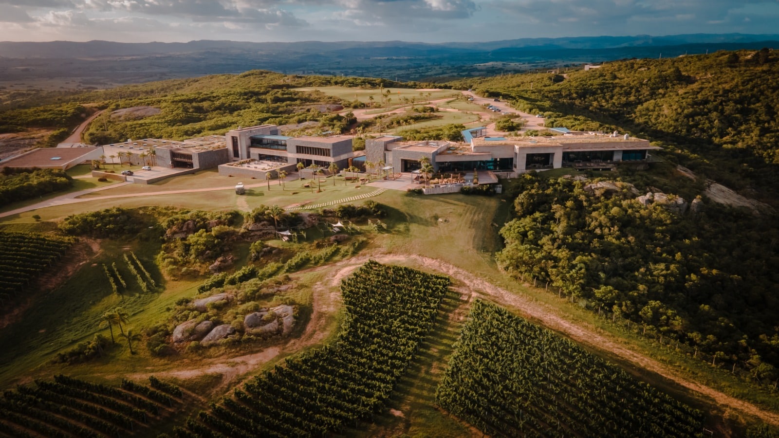 Bodega Garzón celebra 10 anos no Brasil - Money Report