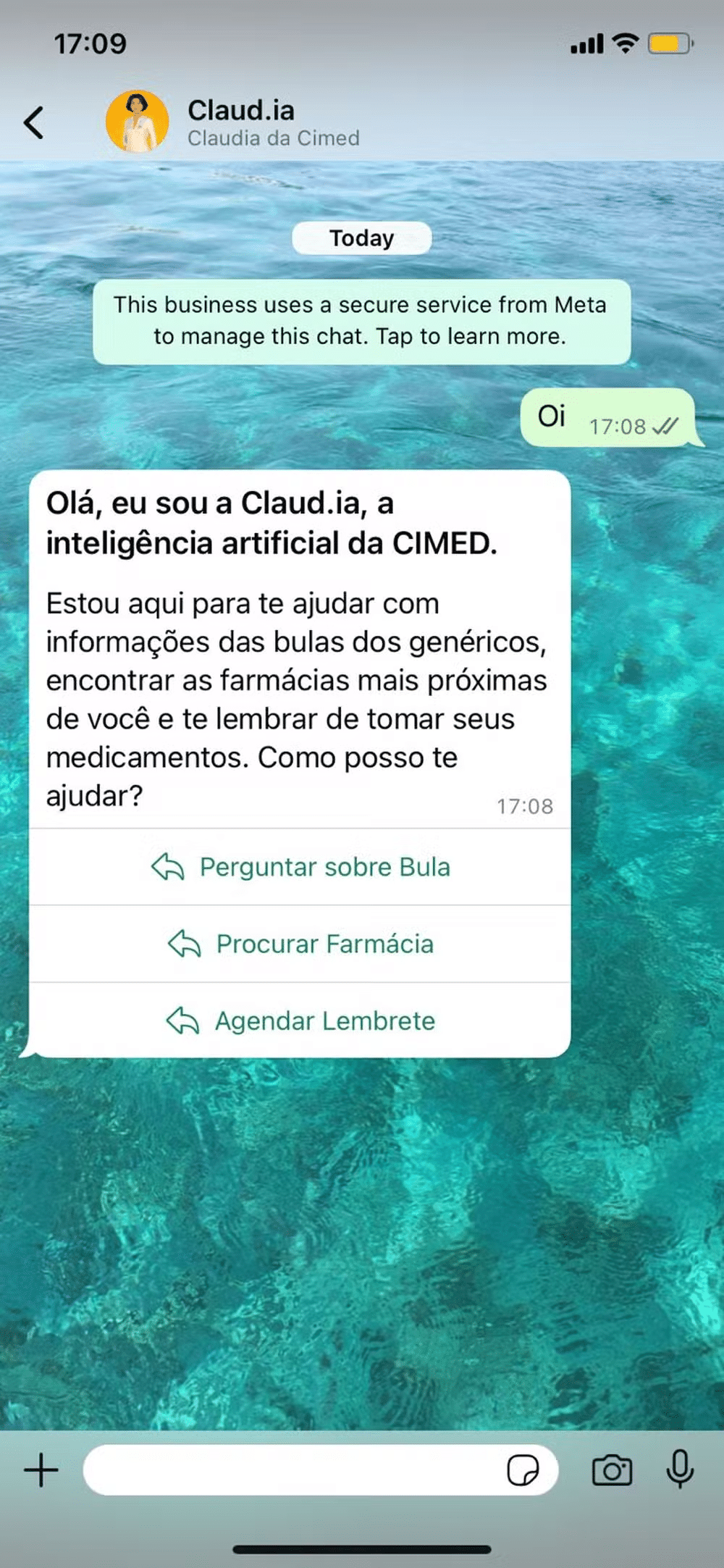 Cimed lança IA que traduz bulas de remédios pelo WhatsApp - Money Report